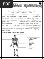 Skeletal System Grade 4 | PDF | Skeleton | Bone