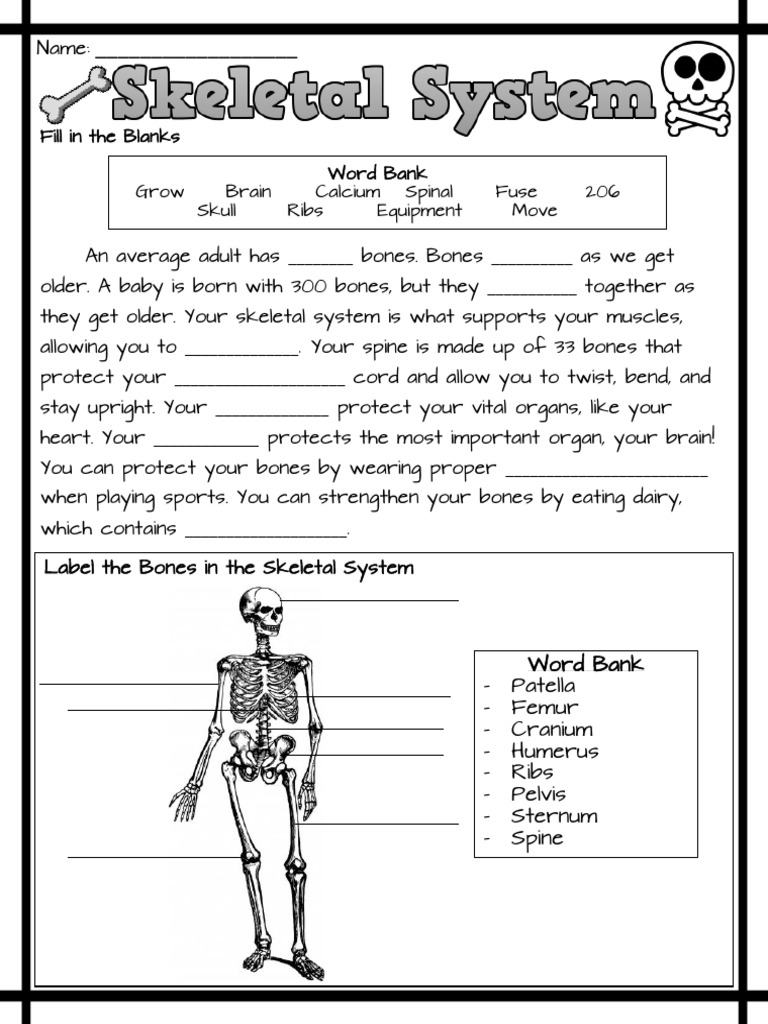 Skeletal System Worksheet for Grade 5 | PDF | Human Body | Skeleton