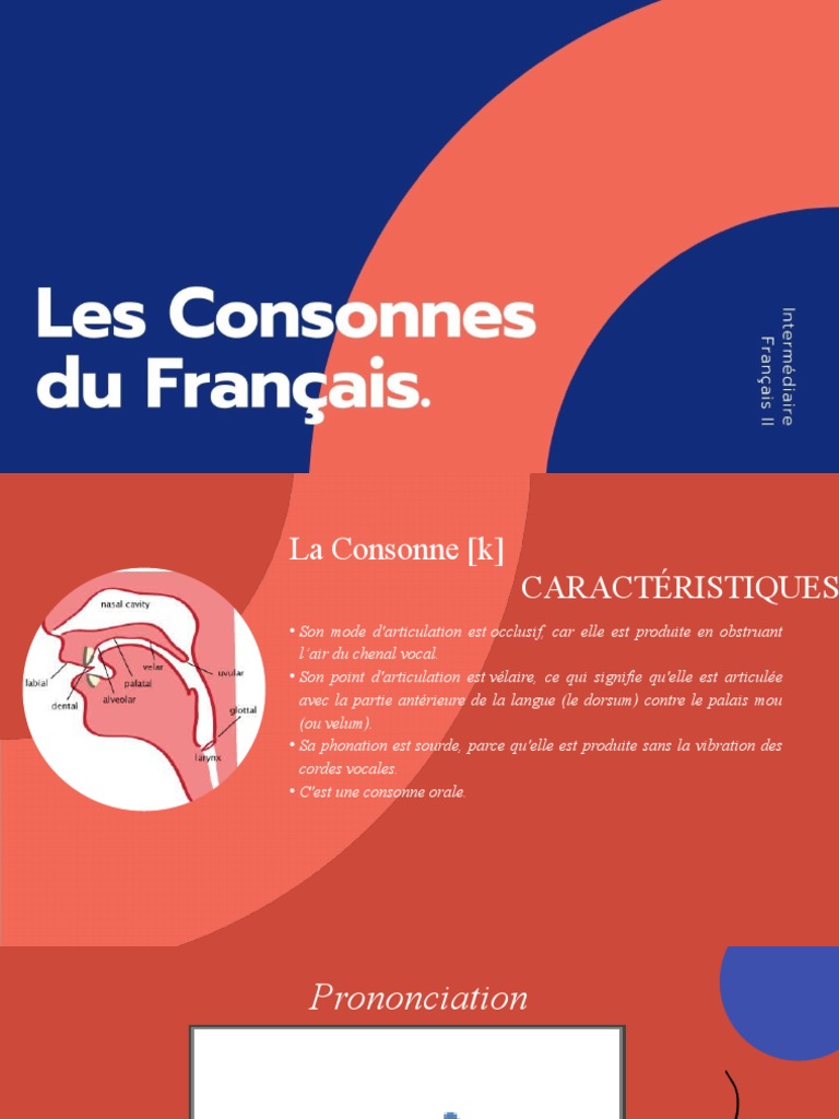 Les Consonnes Du Français. | PDF | Otorhinolaryngologie | Phonétique