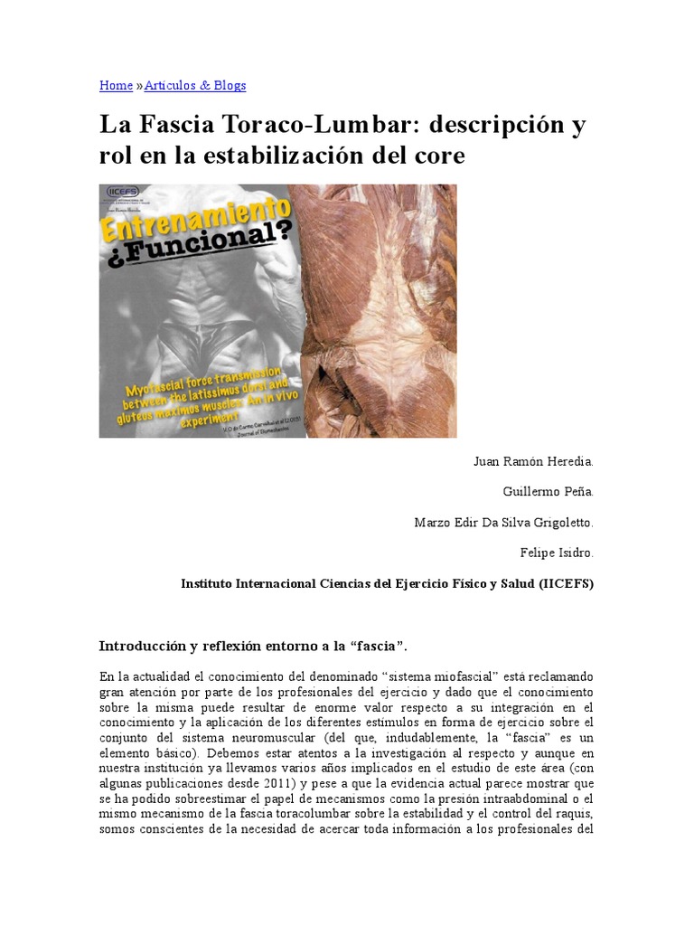 Fascia Toracolumbar G-SE | PDF | Músculo | Anatomía humana