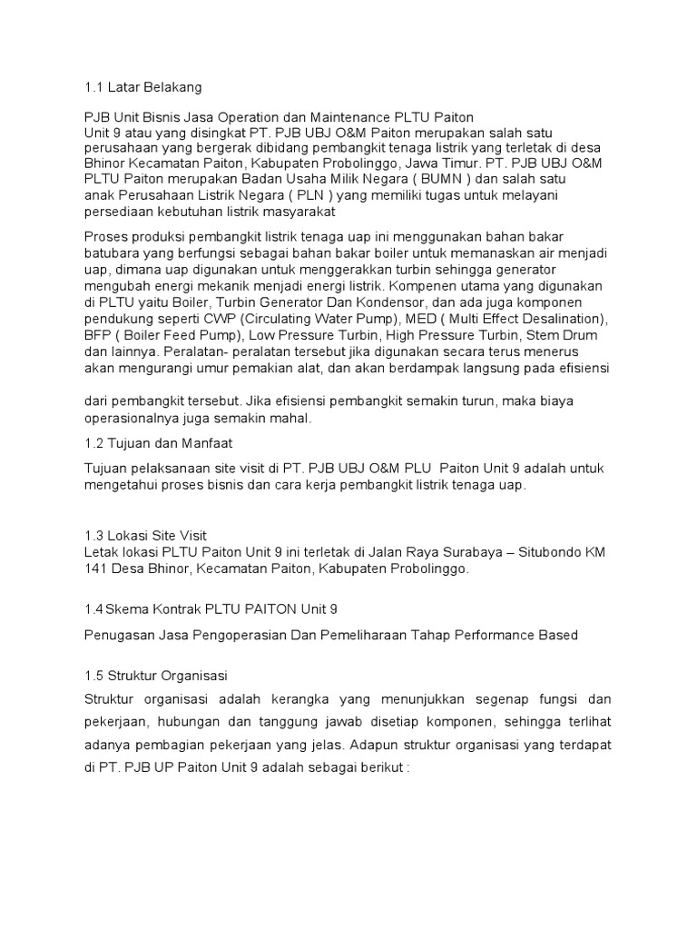 Laporan Magang Pltu Paiton 9 | PDF