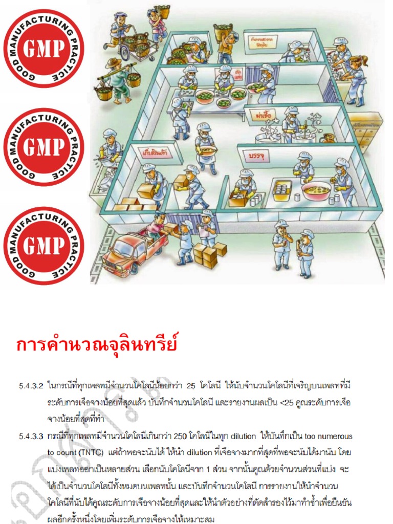 Food Sanitation GMP | PDF