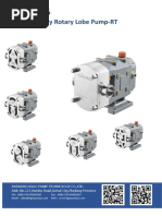 Flowserve Pump1 | PDF