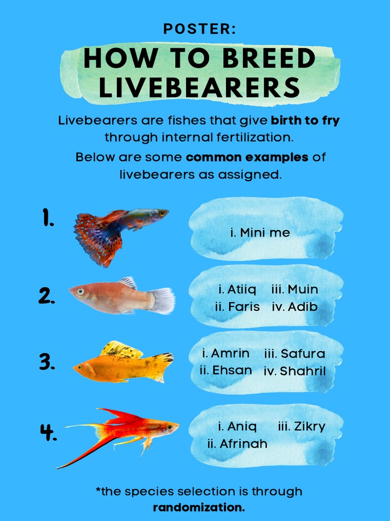 Poster - How To Breed Livebearers | PDF | Wellness