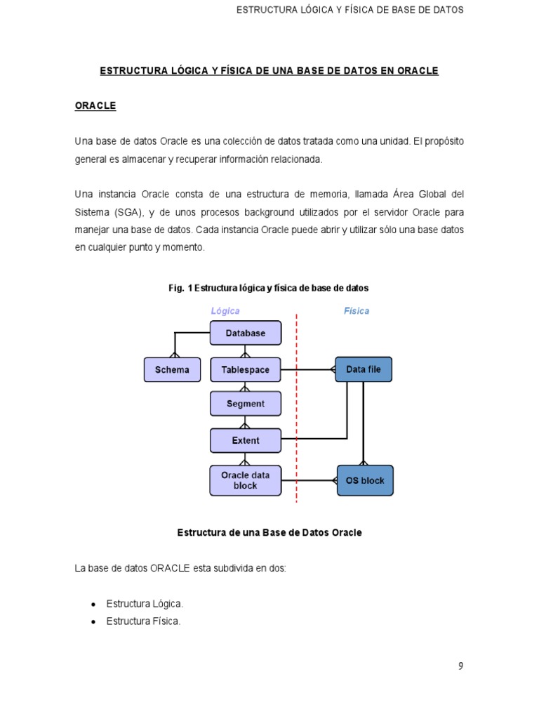 Estructura Logica y Fisica de Una Base de Datos Oracle | PDF | Bases de ...