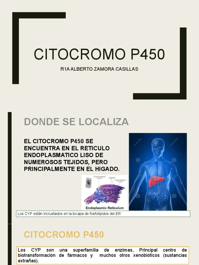 Citocromo P450 | PDF | Citocromo P450 | Biomoléculas