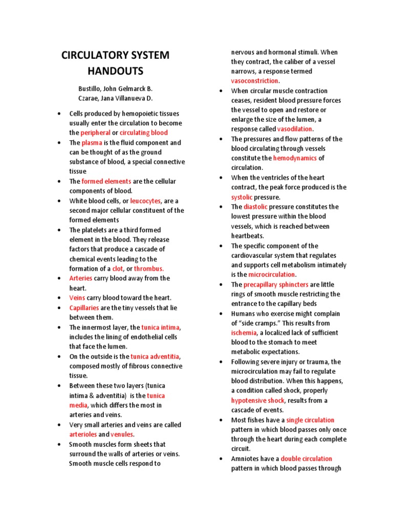Circulatory System Handouts | PDF | Aorta | Circulatory System