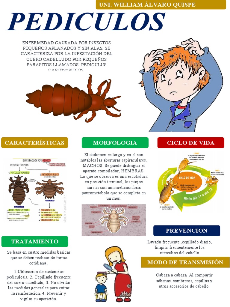 Prevención y Tratamiento de Pediculosis | PDF