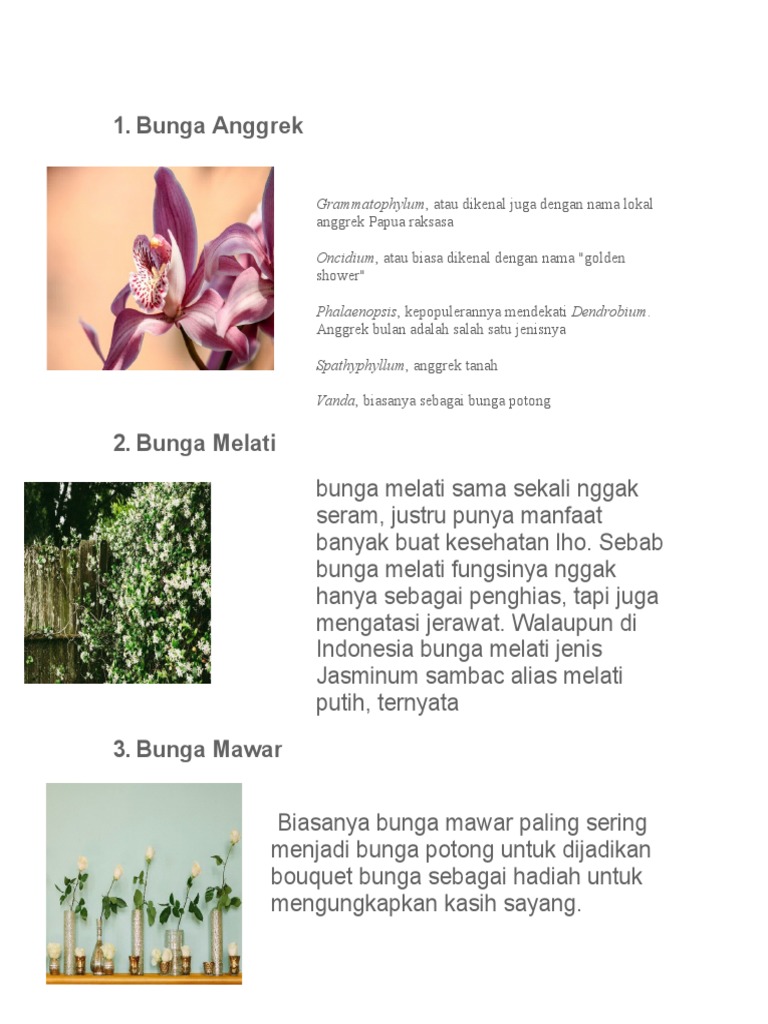 Bunga Anggrek | PDF