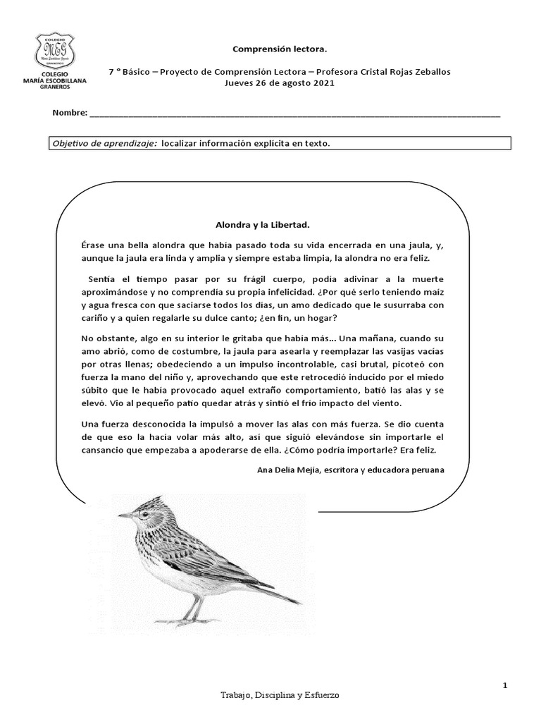 guía 7° y ticket comprensión lectora 19 | PDF