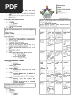 AO Surgery Reference Lenke Classification | PDF | Vertebral Column ...