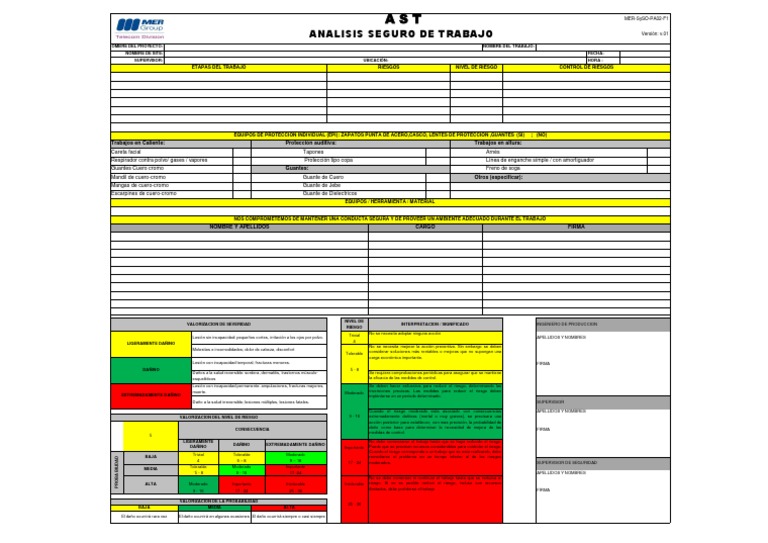 5.-Formato AST | PDF | Riesgo | Medicina CLINICA