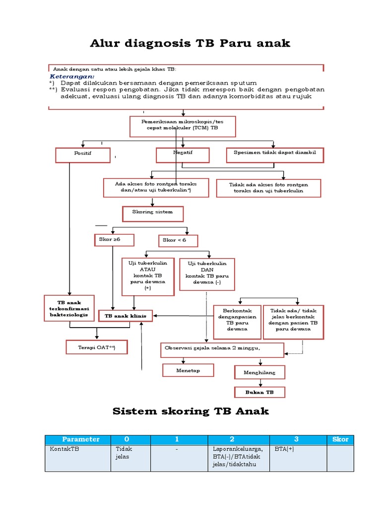 Alur Diagnosis TB Paru Anak | PDF
