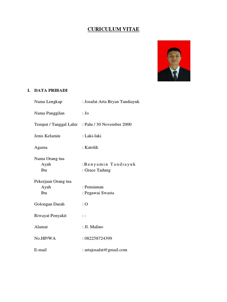 Josafat Arta Bryan Tandiayuk - CV | PDF