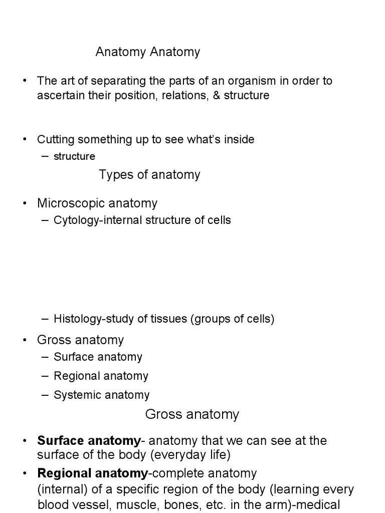 Human Anatomy | PDF | Human Body | Anatomy