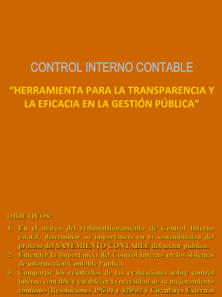 Control Interno Contable Público | PDF | Contabilidad | Auditoría