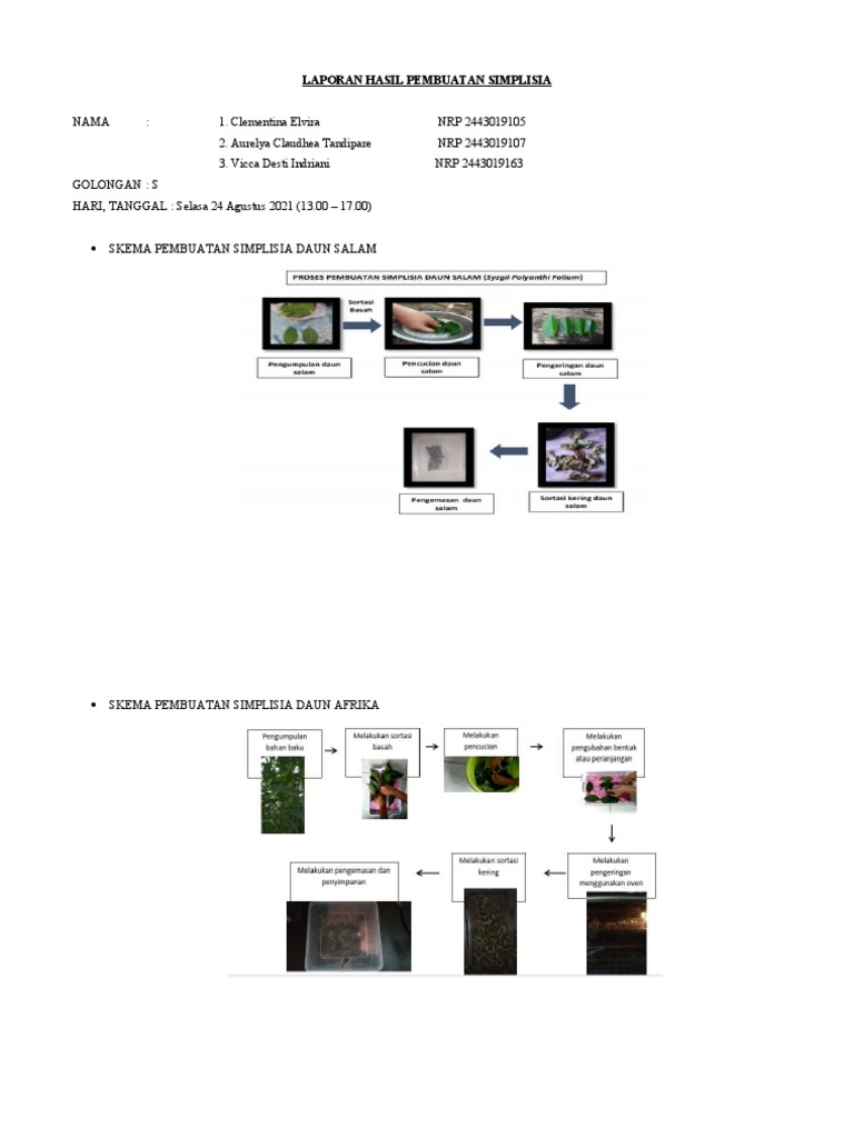 Laporan Pembuatan Simplisia | PDF