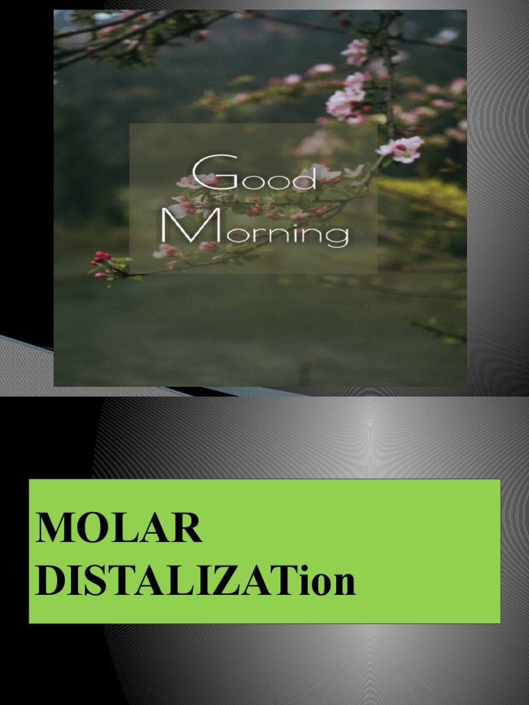 Molar Distalization Techniques Overview | PDF | Animal Anatomy | Human ...