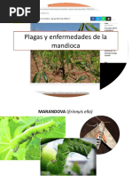 Control de Enfermedades Con Productos Quimicos Ventajas y Desventajas ...