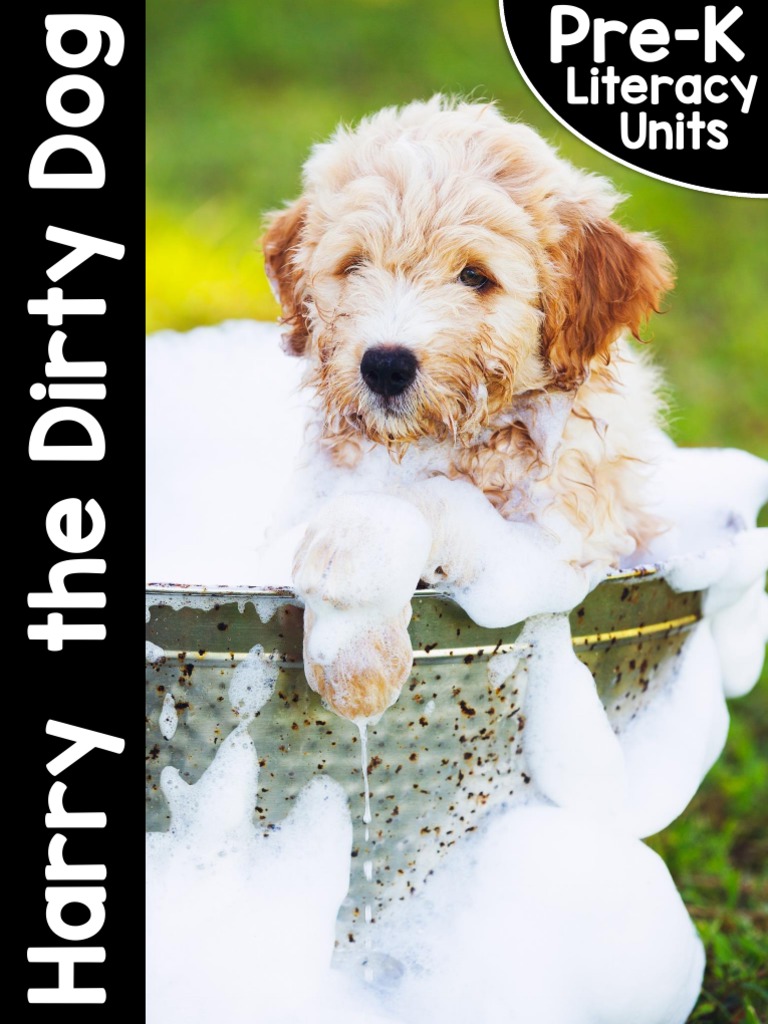 Literacy Units | PDF | Poetry | Literacy