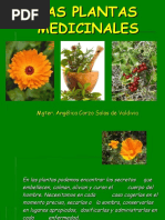 Pomadas Medicinales Caseras y Usos | PDF | Medicación tópica | Eucalipto