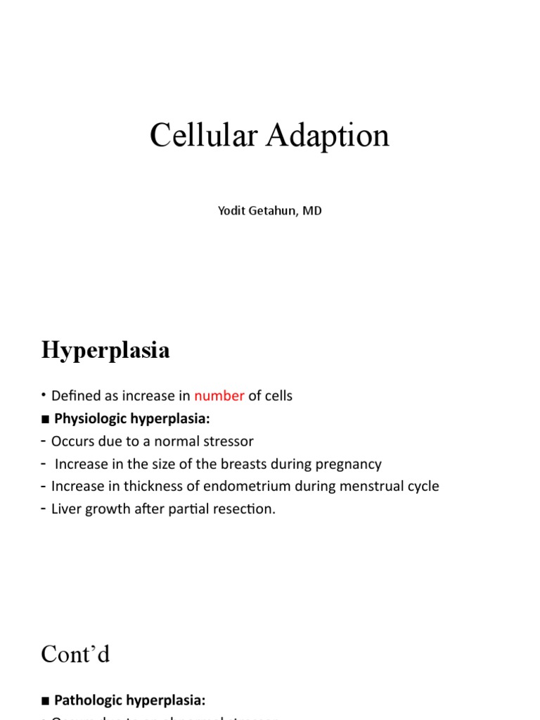 Cellular Adaption: Yodit Getahun, MD | PDF | Atrophy | Epithelium