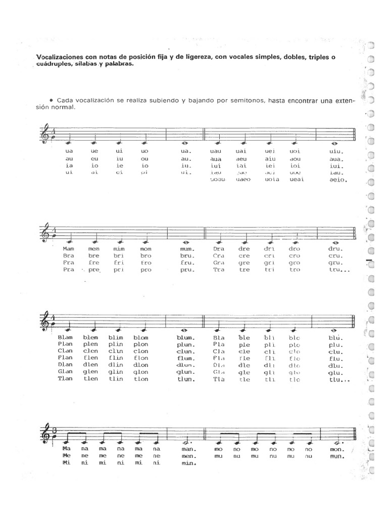 Vocalizaciones y sílabas: Un estudio sobre la extensión vocal a través ...