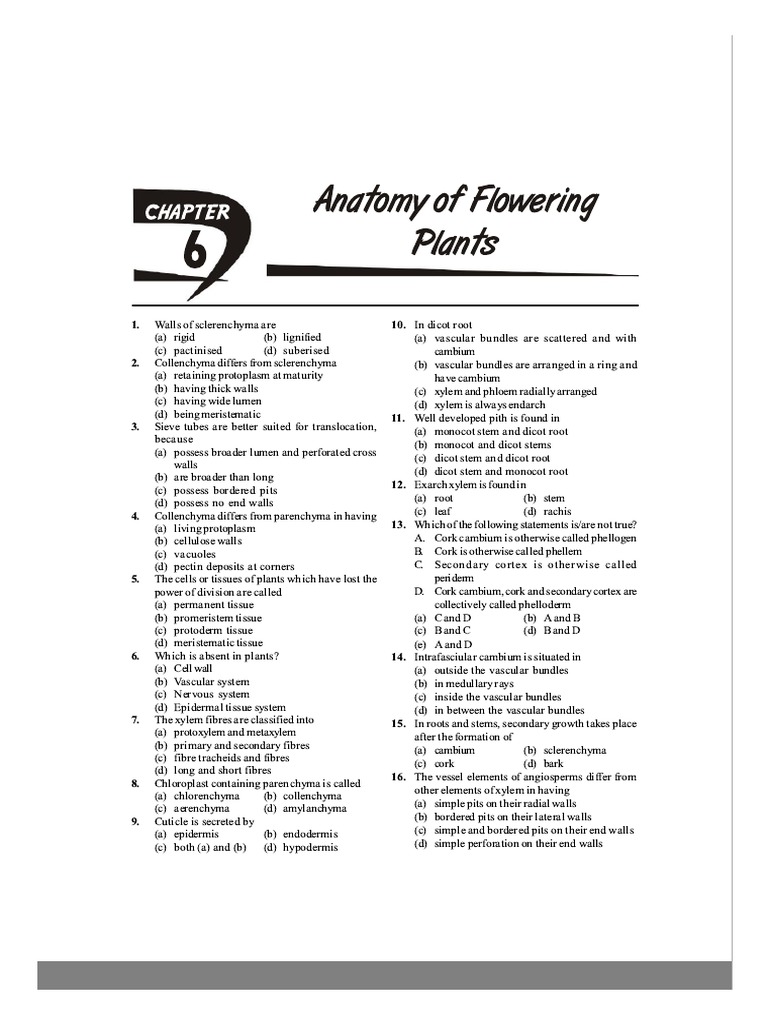 6anatomy of Flowering Plants PDF | PDF | Plant Stem | Tissue (Biology)