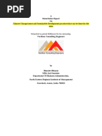 Bombing Format | PDF