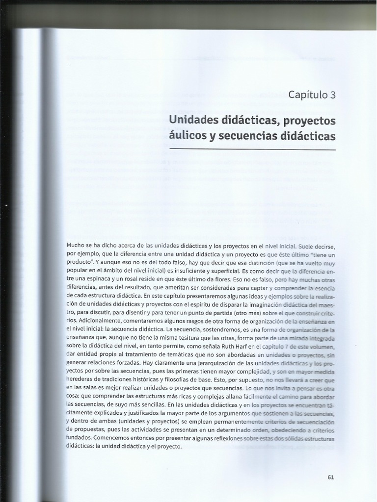 Brailovsky Cap 3 Unidad Didactica, Proyecto, Secuencia | PDF