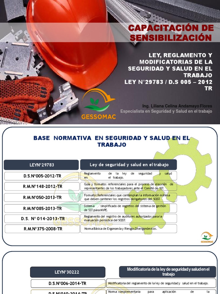 Supervisor SST - Clase 1 | PDF | Derecho laboral | Gobierno