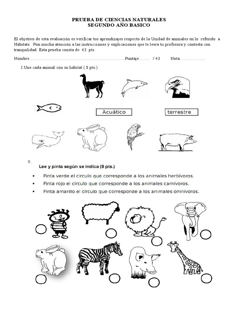 Examen de Hábitats para Segundo Grado | PDF | Habitat | Entorno natural