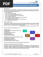 Clinical Audit Report Template | PDF | Audit