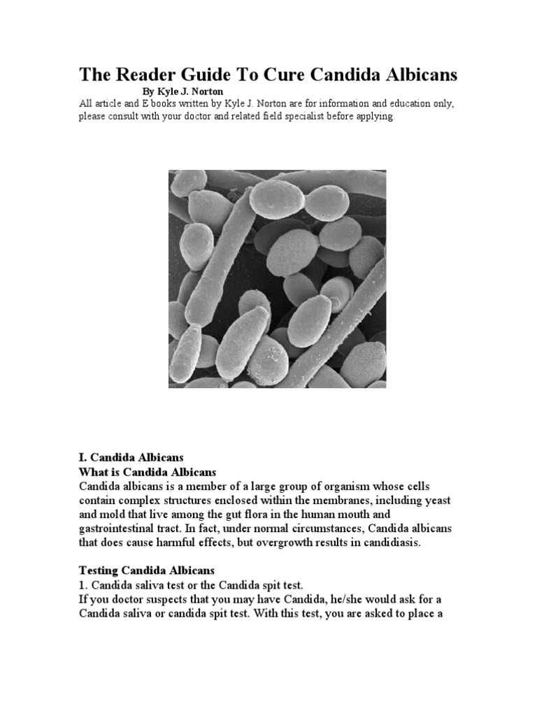 The Reader Guide To Cure Candida Albicans | PDF | Candidiasis | Candida ...