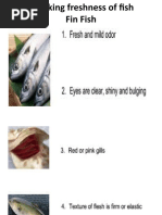 Characteristics and Market Forms of Fish and Shellfish | PDF | Crustacean | Mollusca