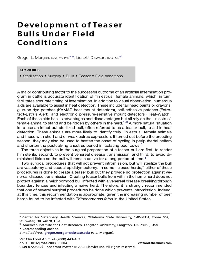 Teaser Bulls | PDF | Surgery | Neutering