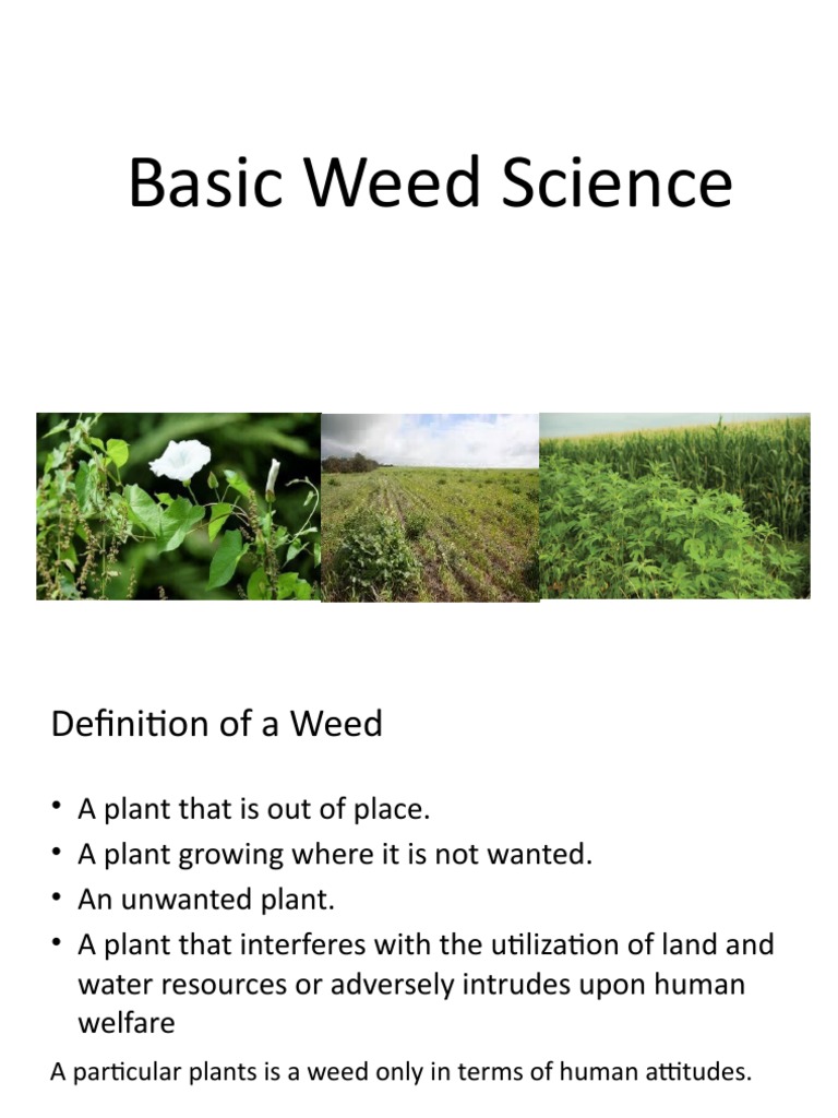 Understanding Weed Science Basics | PDF | Seed | Weed