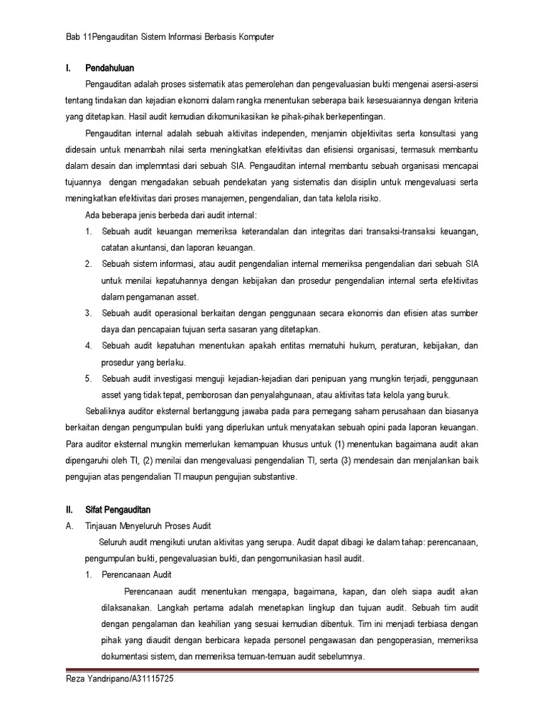 RMK Bab 11 Computer Audit | PDF