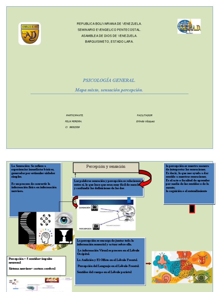 Mapa Mixto | Descargar gratis PDF | Percepción | Sentidos