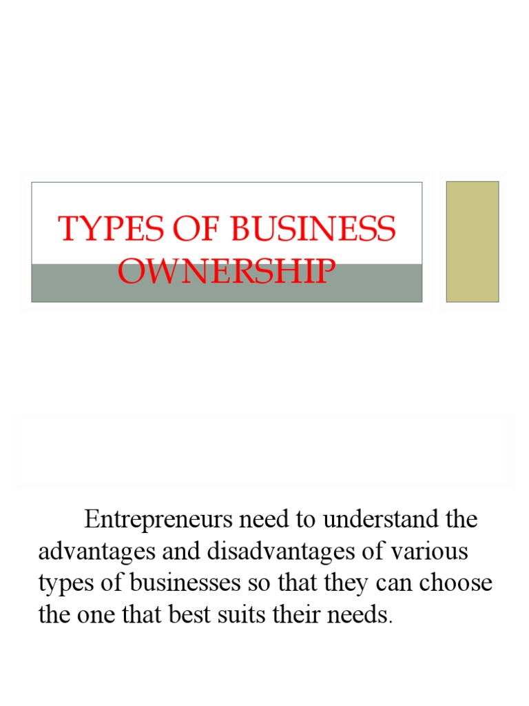 Types of Business Ownership | PDF | Limited Liability Company | Partnership