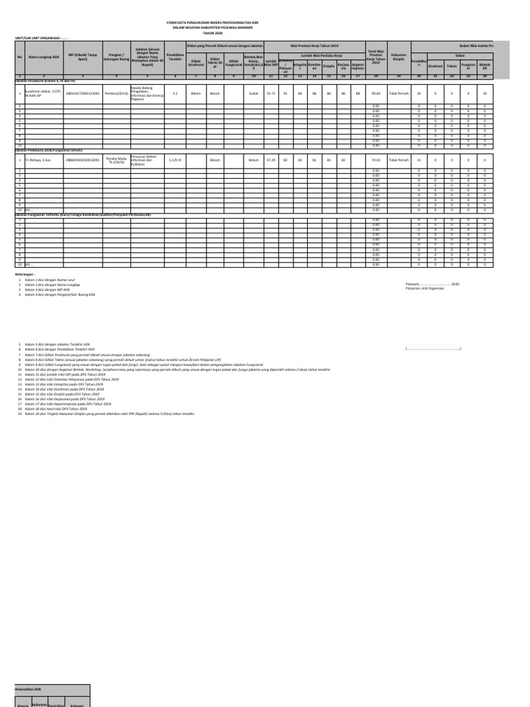 Form Pengukuran Indeks Profesionalitas ASN | PDF