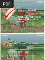 Overview of Palay Check | PDF | Rice | Agriculture