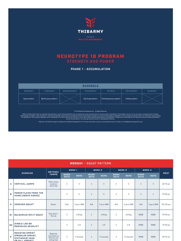 Neurotype 1B-Strength & Power - v1 | PDF | Copyright Infringement | Weight