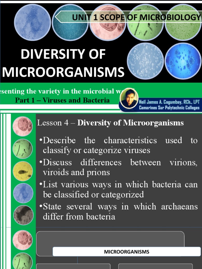Unit 1 Lesson 4 Diversity of Microorganisms Part 1 | PDF | Virus ...