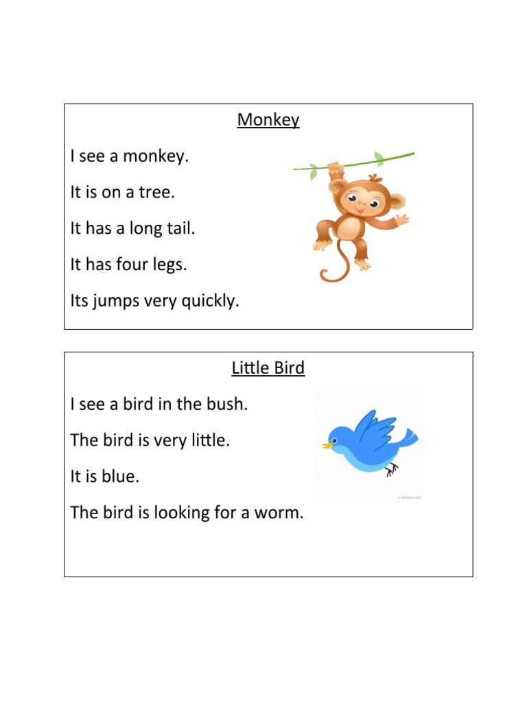 English Reading | PDF