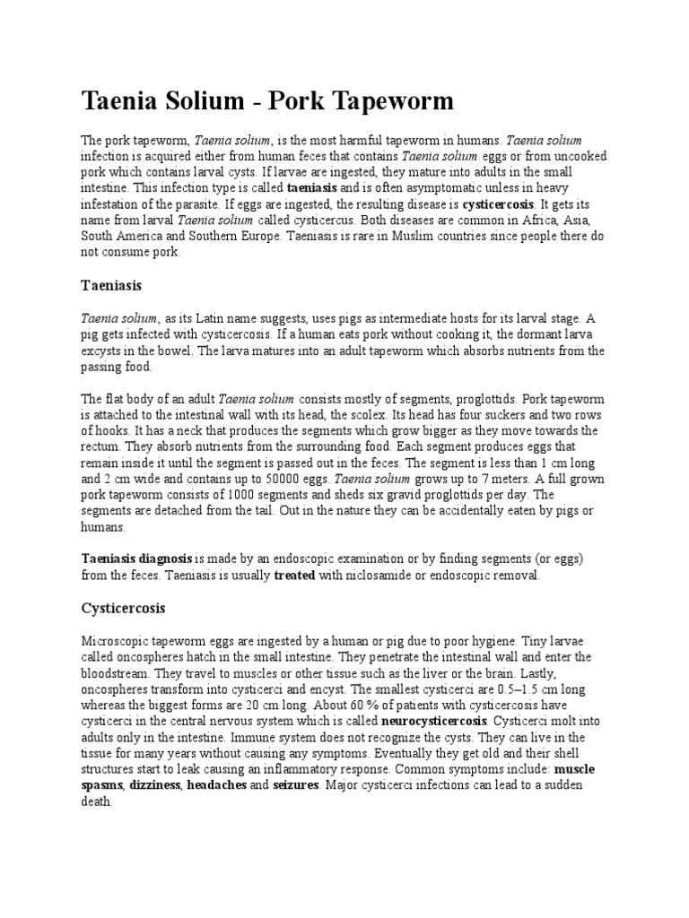 Taenia Solium 2 | PDF | Medicine | Health Sciences