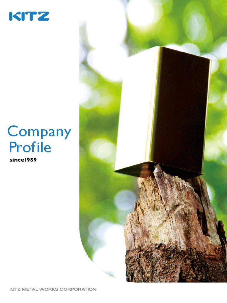 Metal Works Trading Company Profile Sample | PDF | Brass | Forging