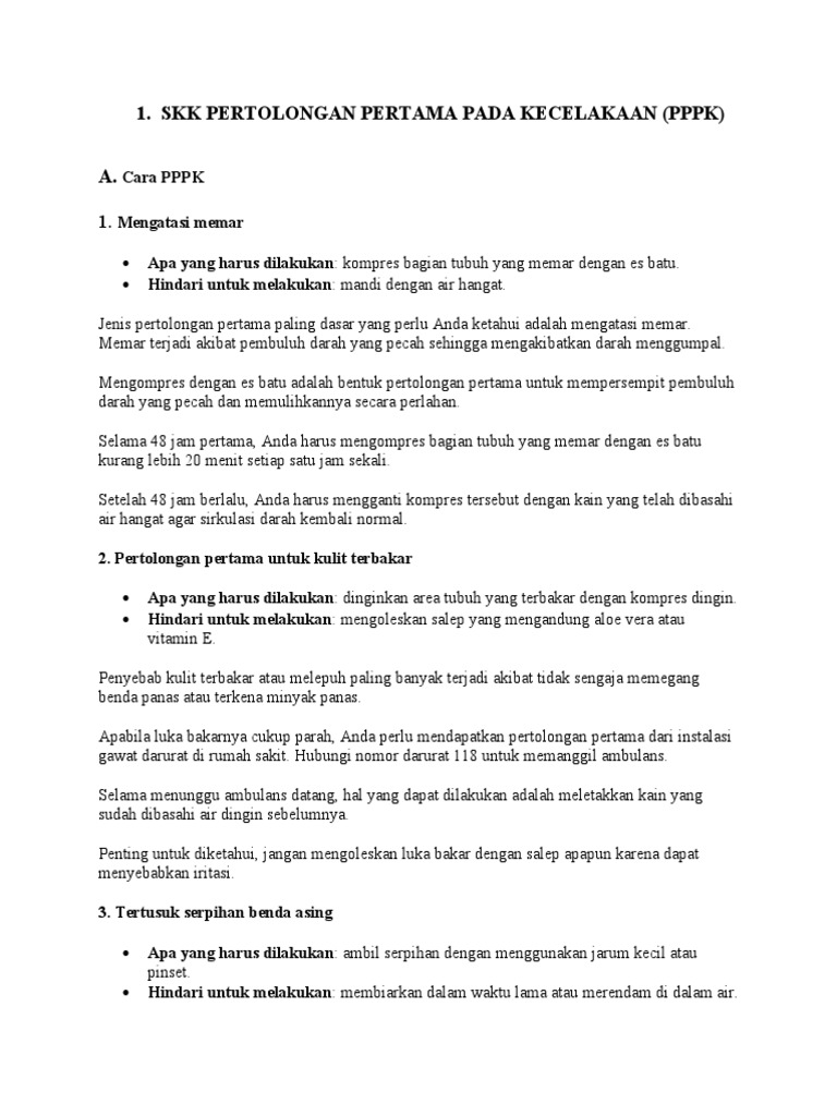 SKK P3K | PDF | Kesehatan Holistik
