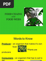 Detailed Lesson Plan On Food Chain | PDF | Foods | Plants