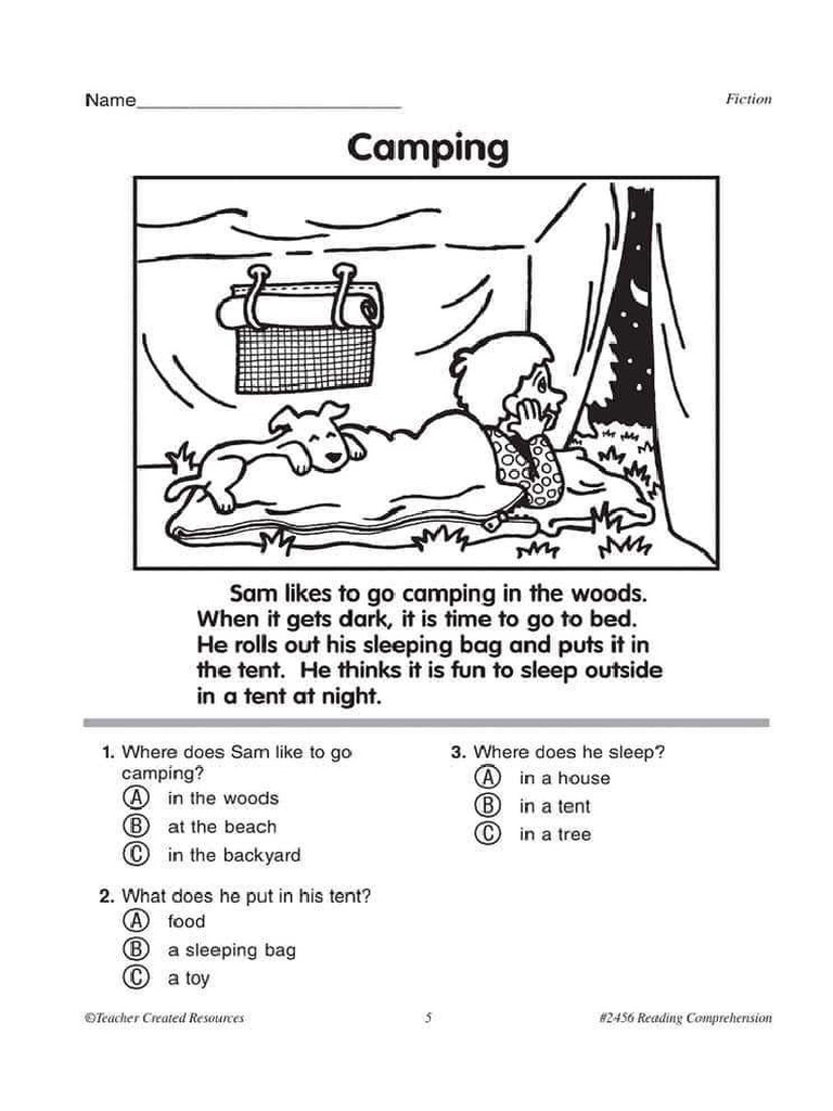 Basic Reading Comprehension | PDF